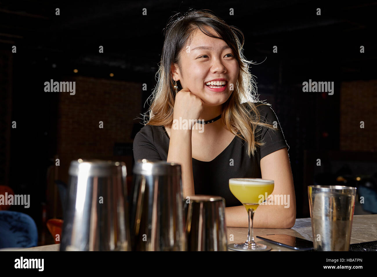 Woman cocktail shaker hi-res stock photography and images - Alamy