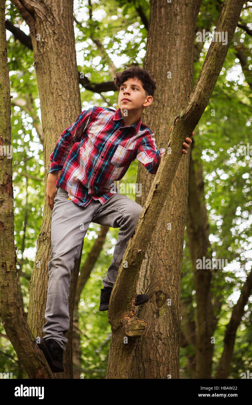 Teenage boy and climbing hi-res stock photography and images - Alamy