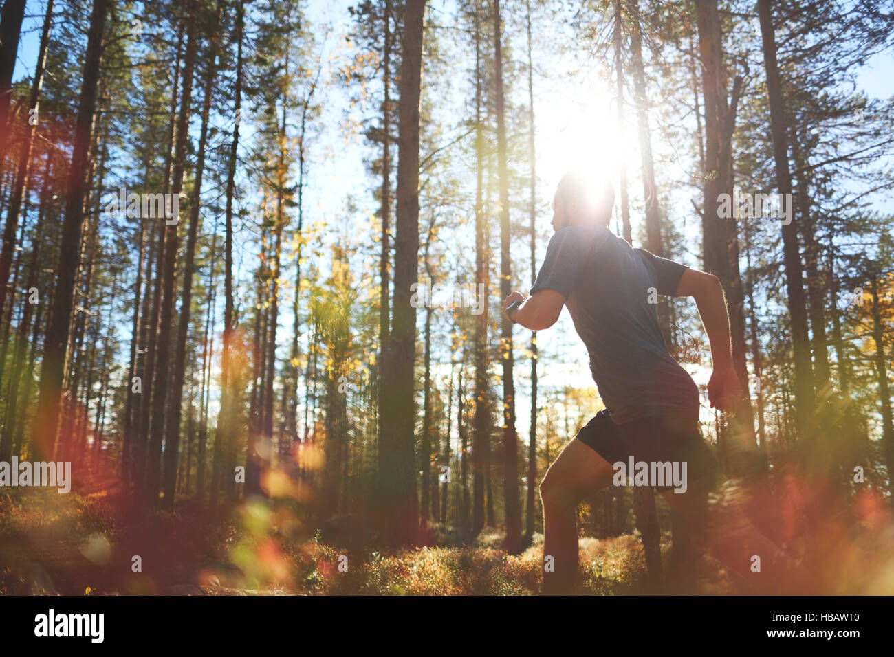 Man running in forest, Keimiotunturi, Lapland, Finland Stock Photo - Alamy