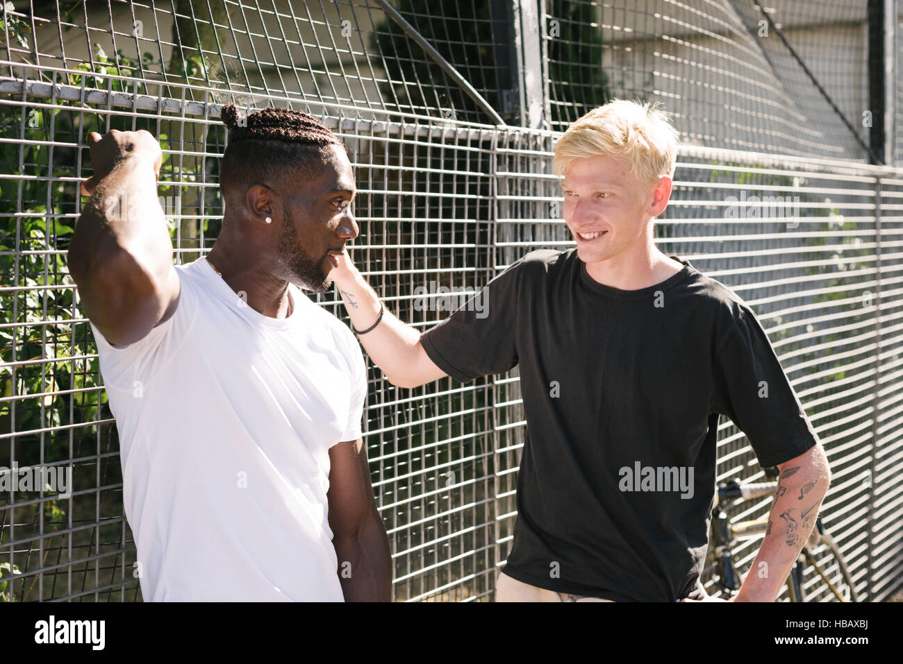 Two young men chatting by wire fence Stock Photo - Alamy