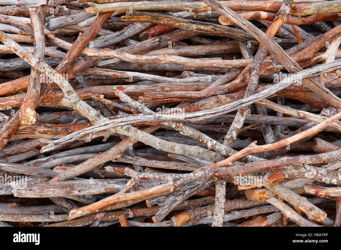 Tree branches stacked. Nature background in warm tone. Horizontal Stock ...