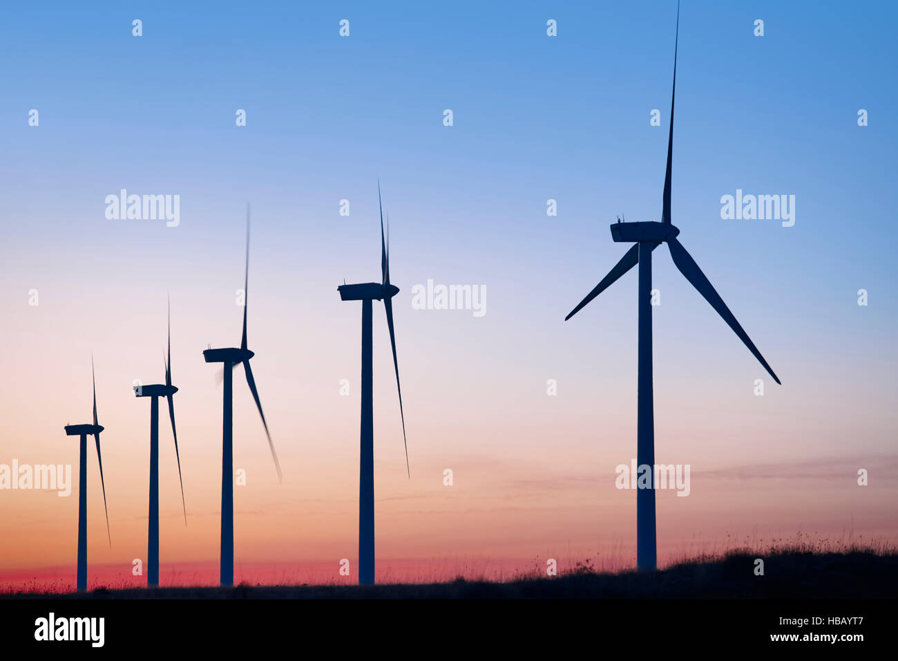 Wind mill farm at dusk. Global warming. Sustainable energy. Power Stock ...