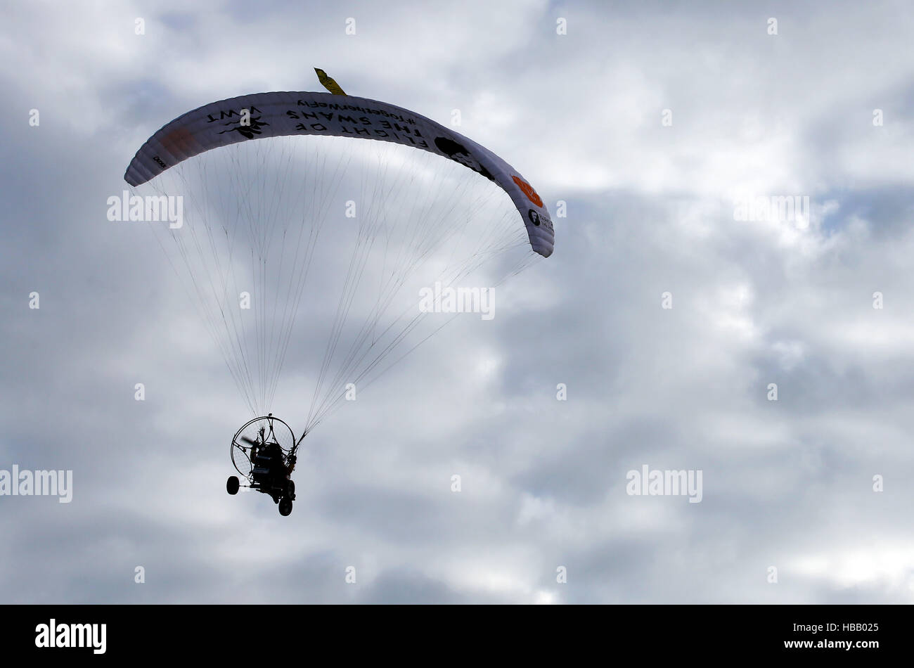 Paramotorist Sacha Dench the 'Human Swan' arrives in Dover after ...