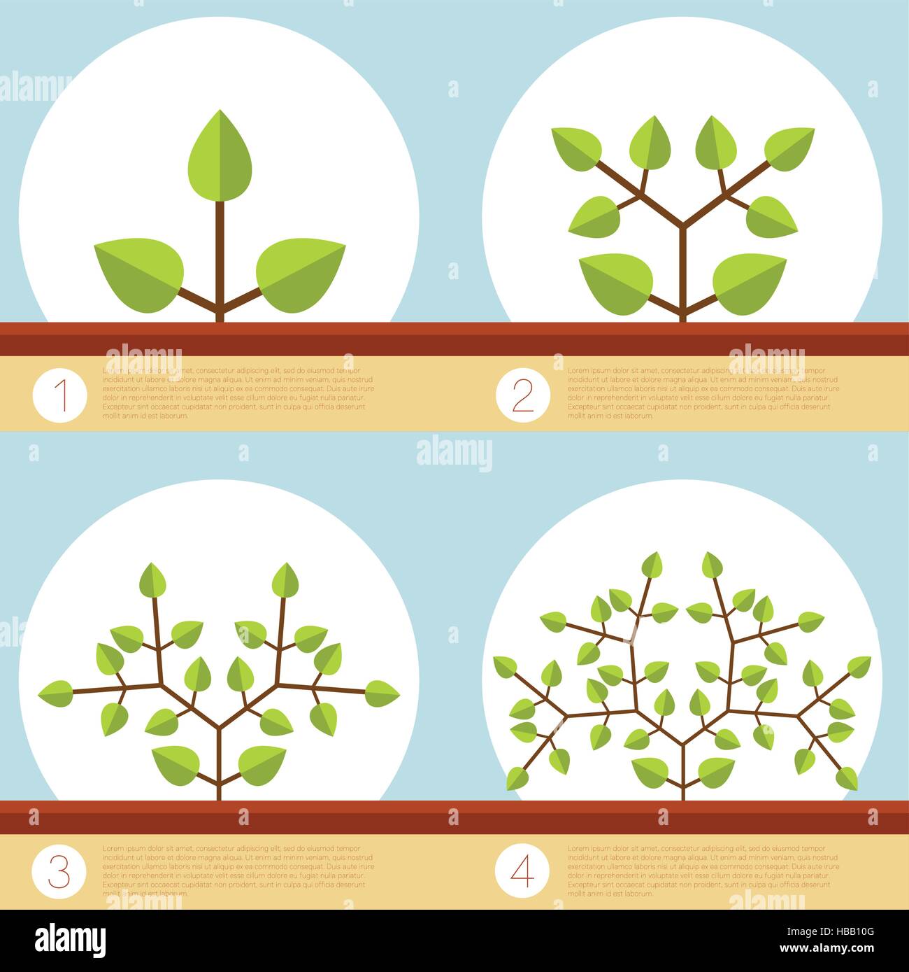 Vector image of the Dichotomous branching plants banner Stock Vector ...