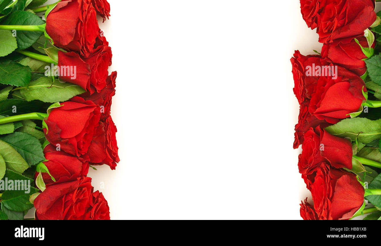 Border red roses rose petals hi-res stock photography and images - Alamy
