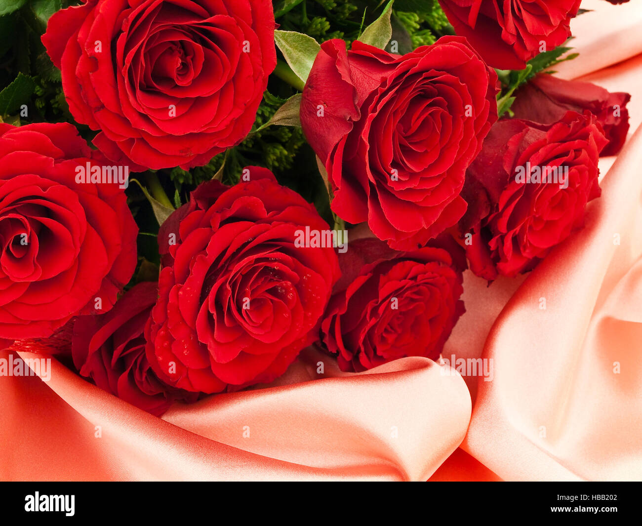 Fragile roses hi-res stock photography and images - Alamy