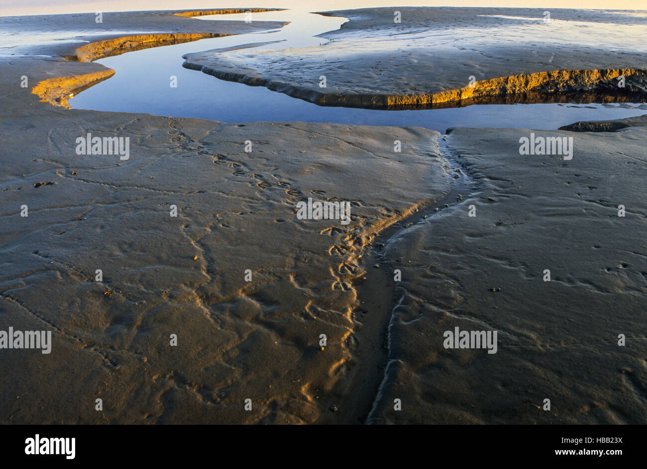 Tideway hi-res stock photography and images - Alamy