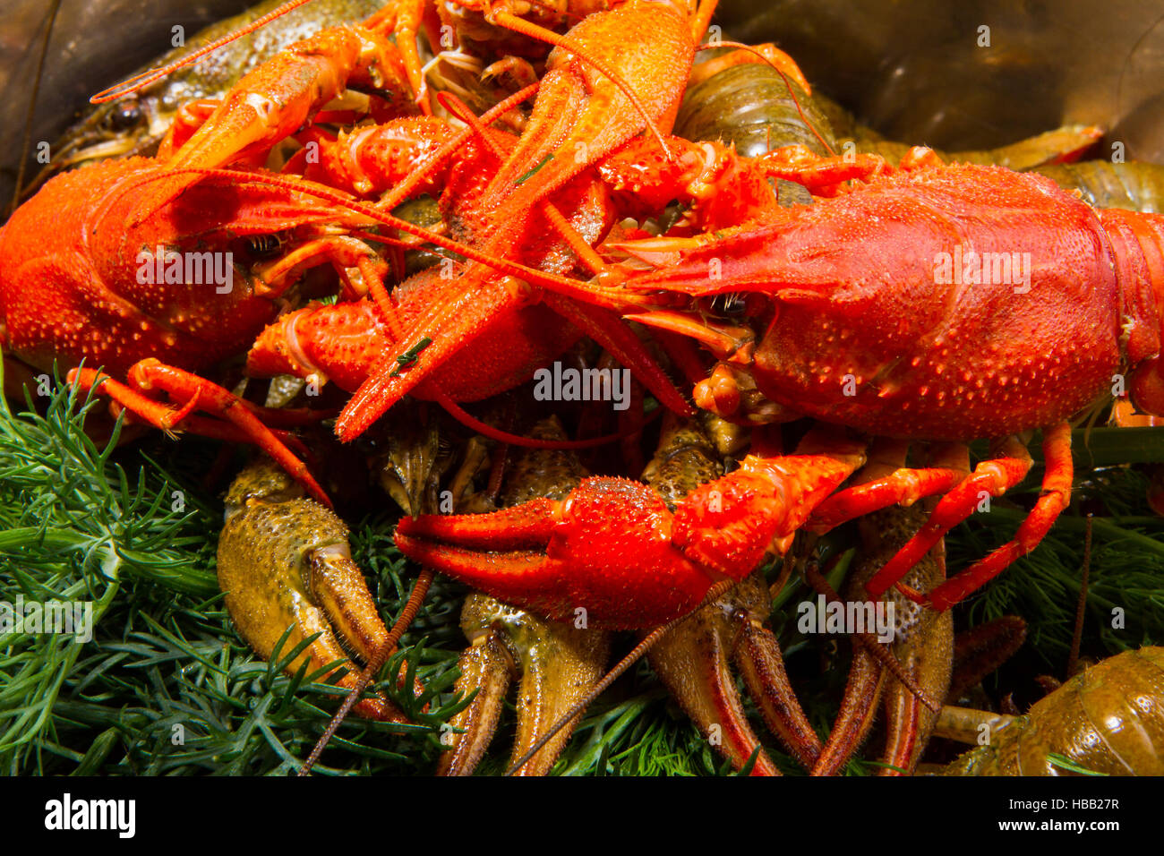 Crayfish isolated on white Stock Photo - Alamy