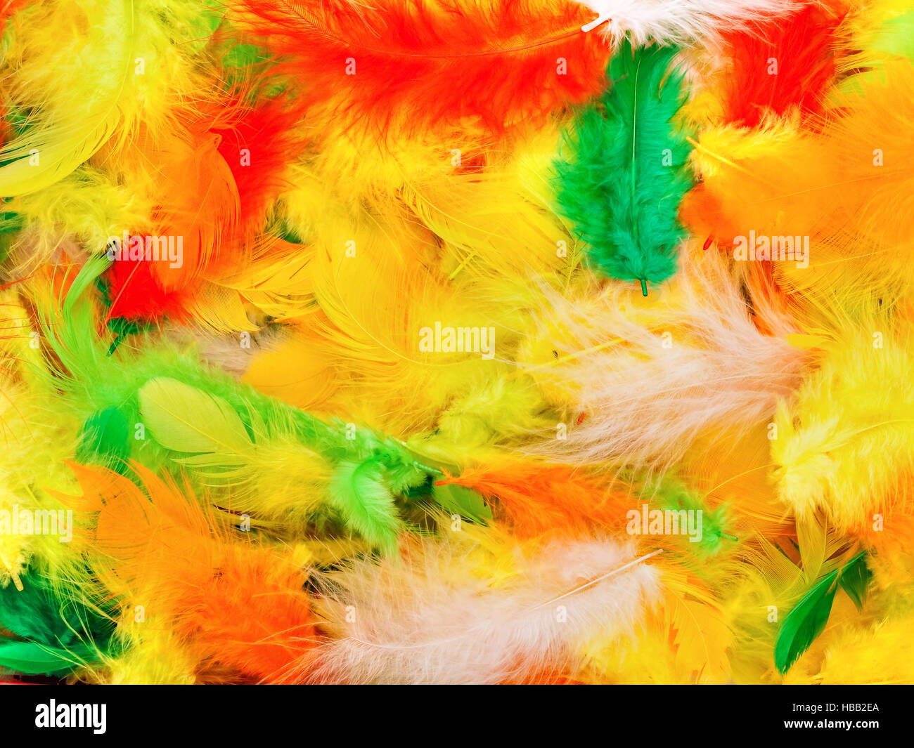 Real feathers hi-res stock photography and images - Alamy