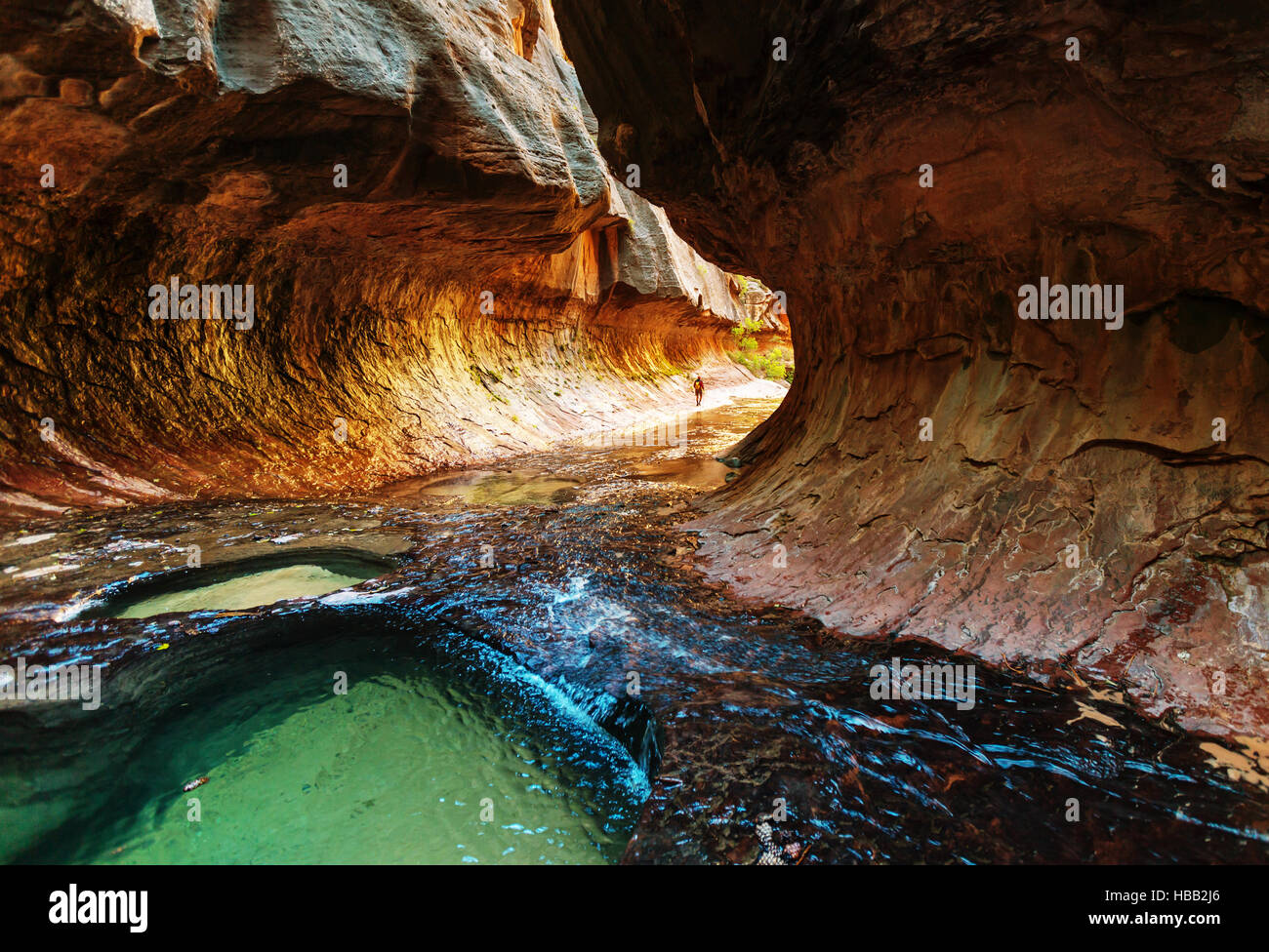 Canyon in Zion Stock Photo - Alamy