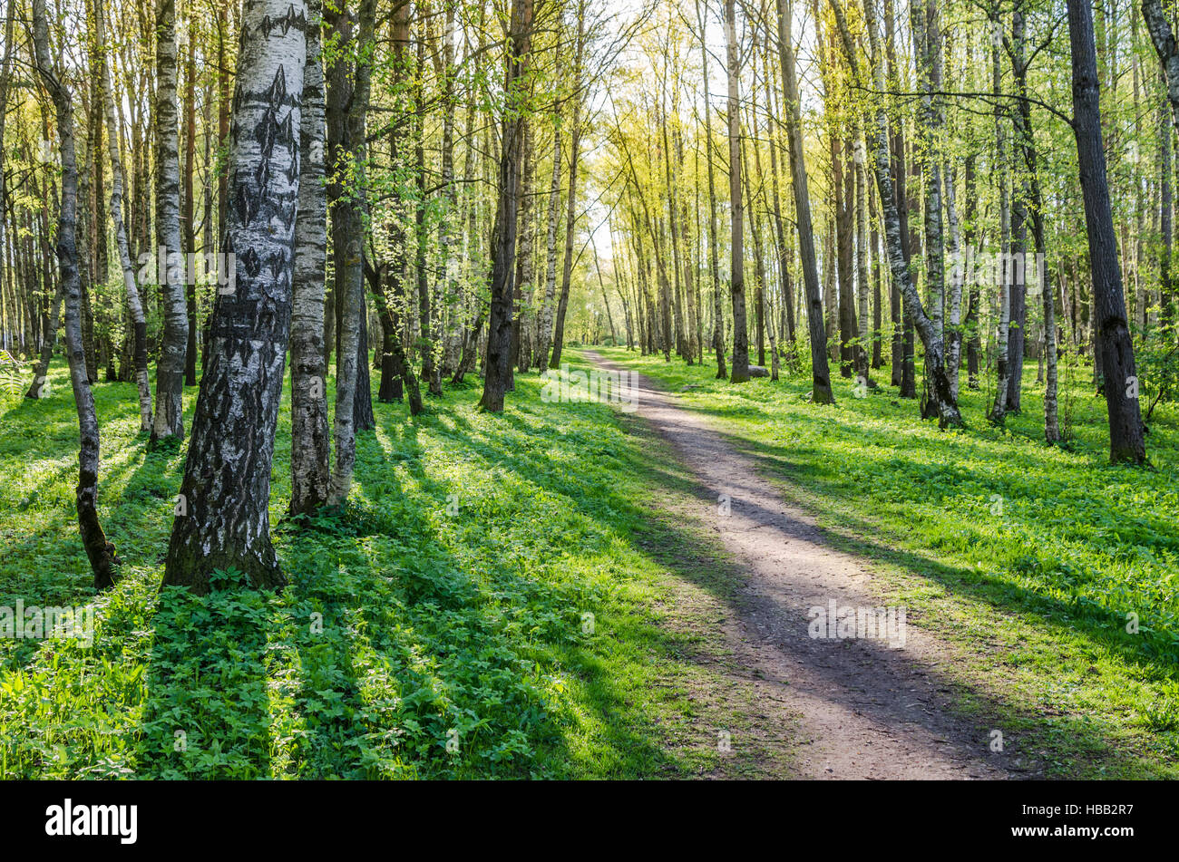Solar beams hi-res stock photography and images - Alamy