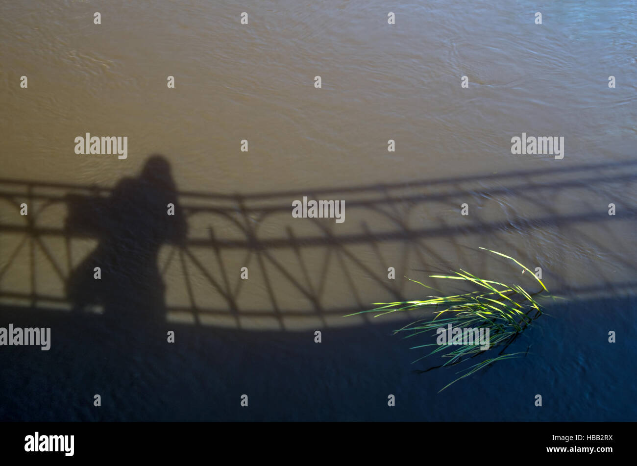 shadow in the water Stock Photo - Alamy