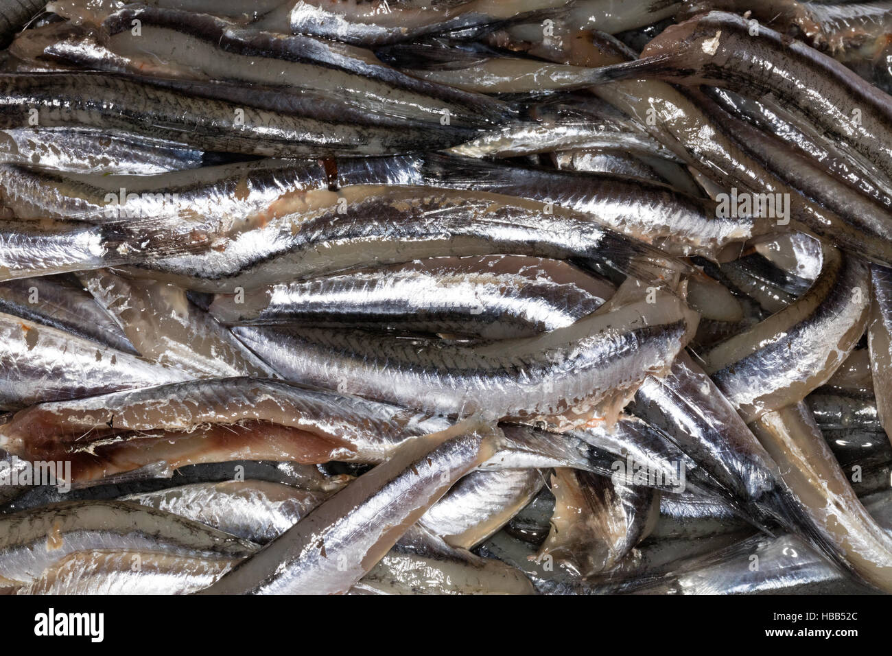 Young anchovies hi-res stock photography and images - Alamy