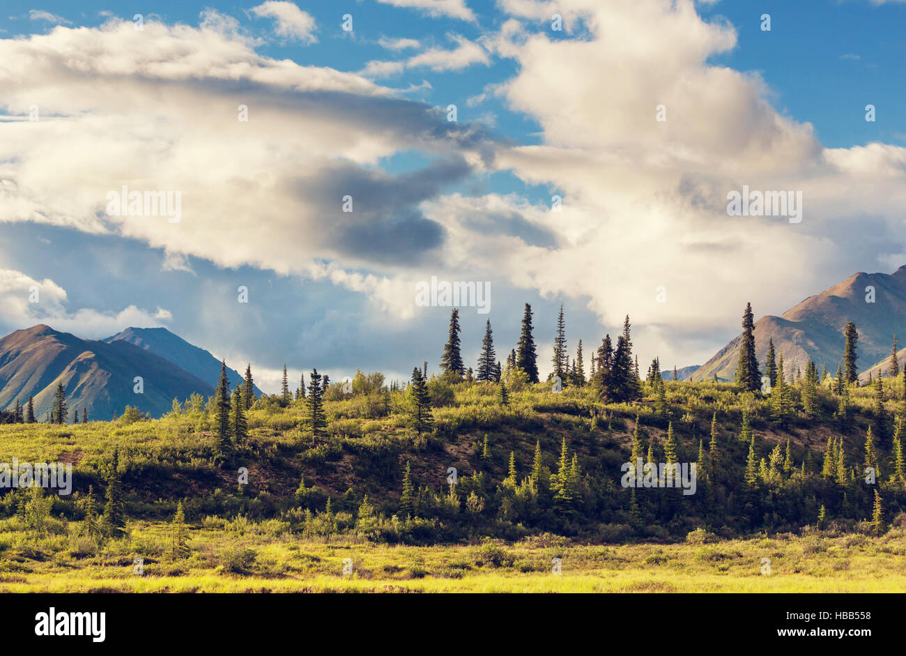 Mountains in Alaska Stock Photo - Alamy