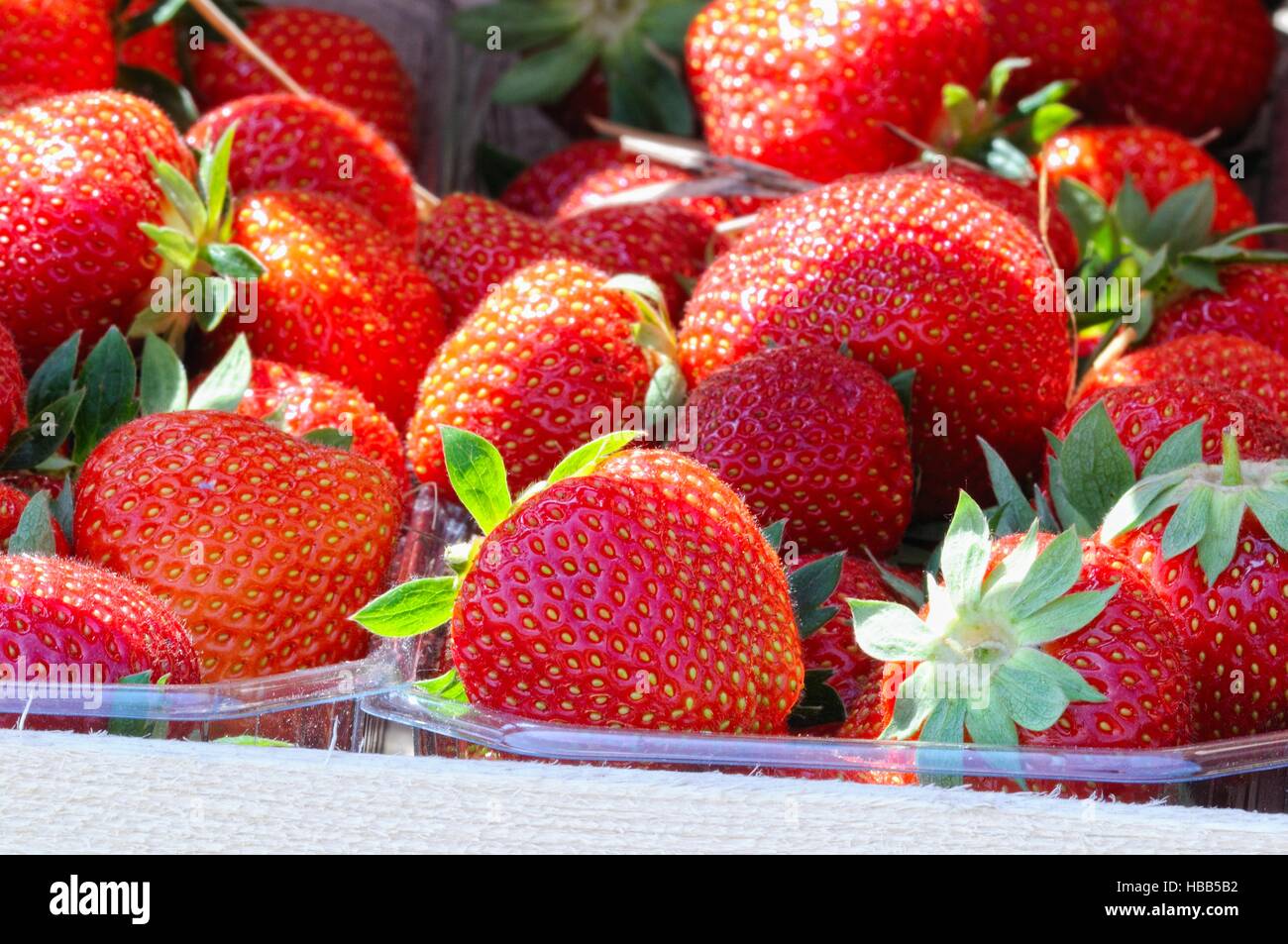 Fresh strawberries in plastic boxes on sale at farmer's market Stock ...