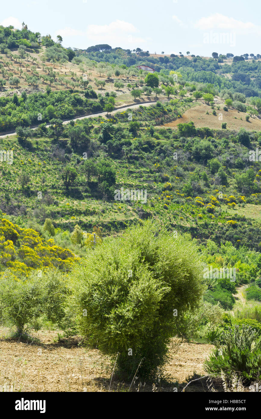 Landscape of Sicily Stock Photo - Alamy