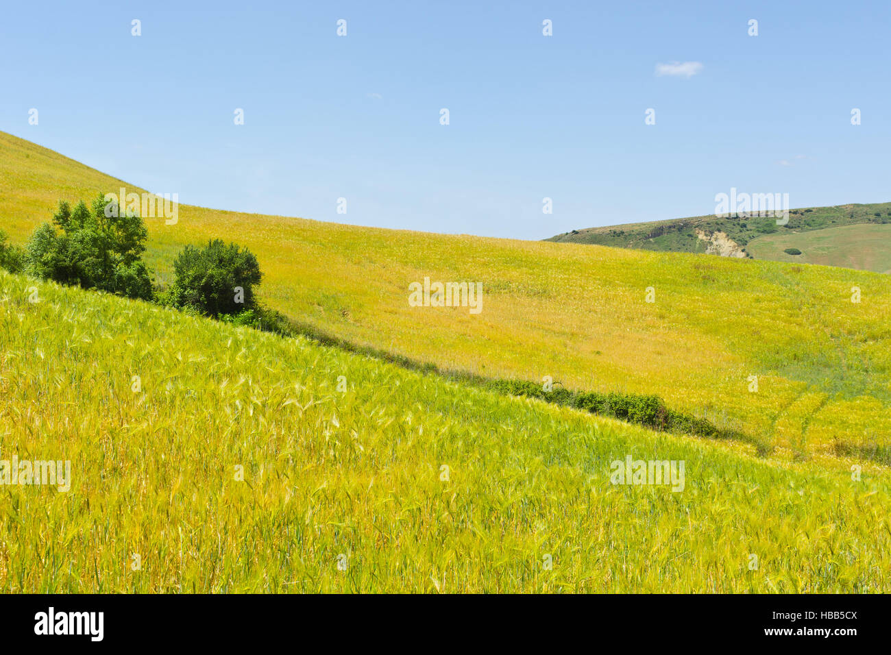 Wheat fields sicily hi-res stock photography and images - Alamy