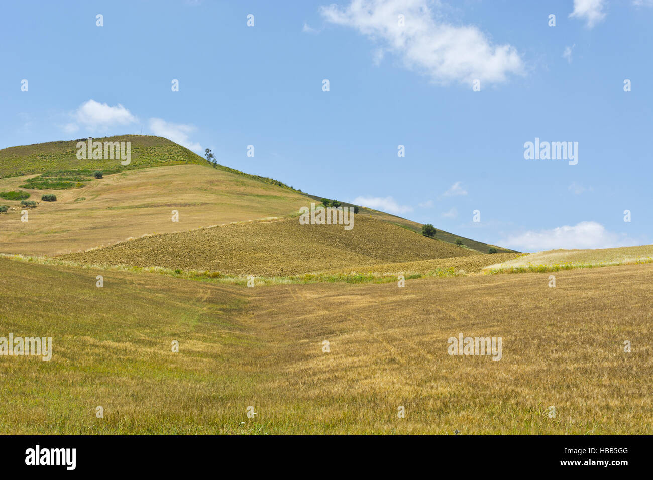 Fields wheat hi-res stock photography and images - Alamy