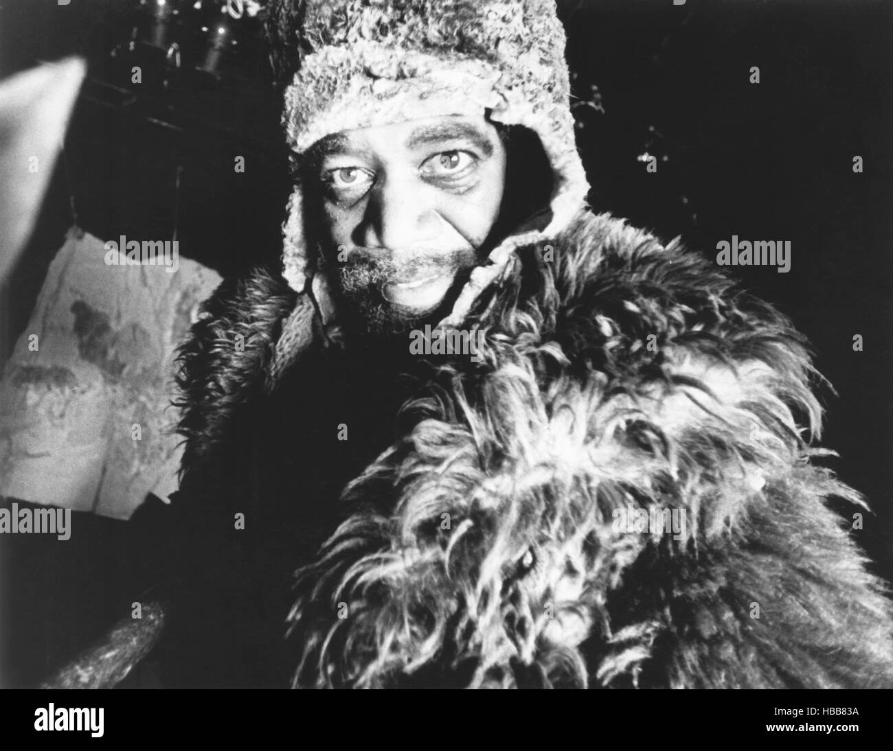 WHITE PELICANS, Morgan Freeman, 1978 Stock Photo - Alamy