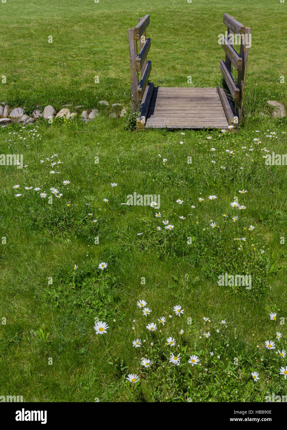 Small bridge in garden hi-res stock photography and images - Alamy