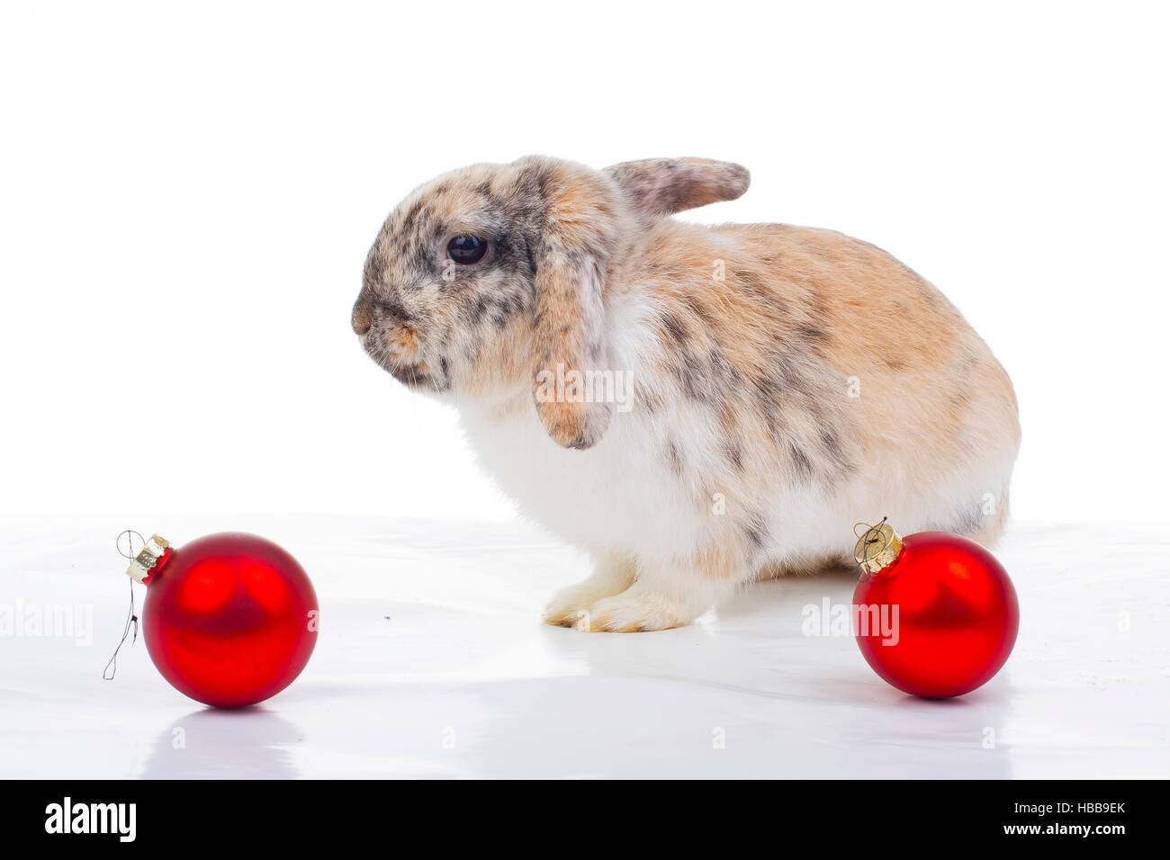 Red bunny hat hi-res stock photography and images - Alamy