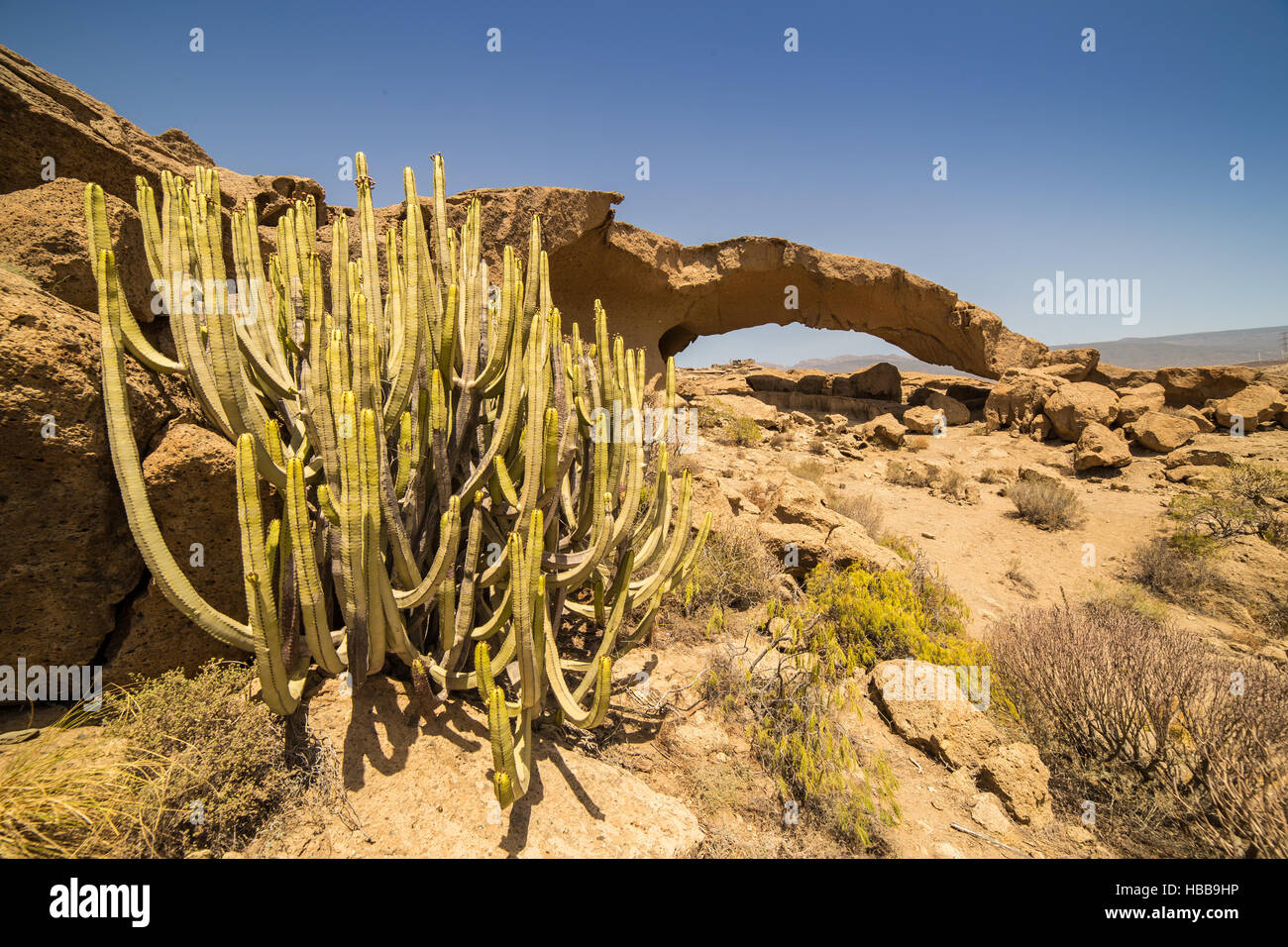 Arico High Resolution Stock Photography and Images - Alamy