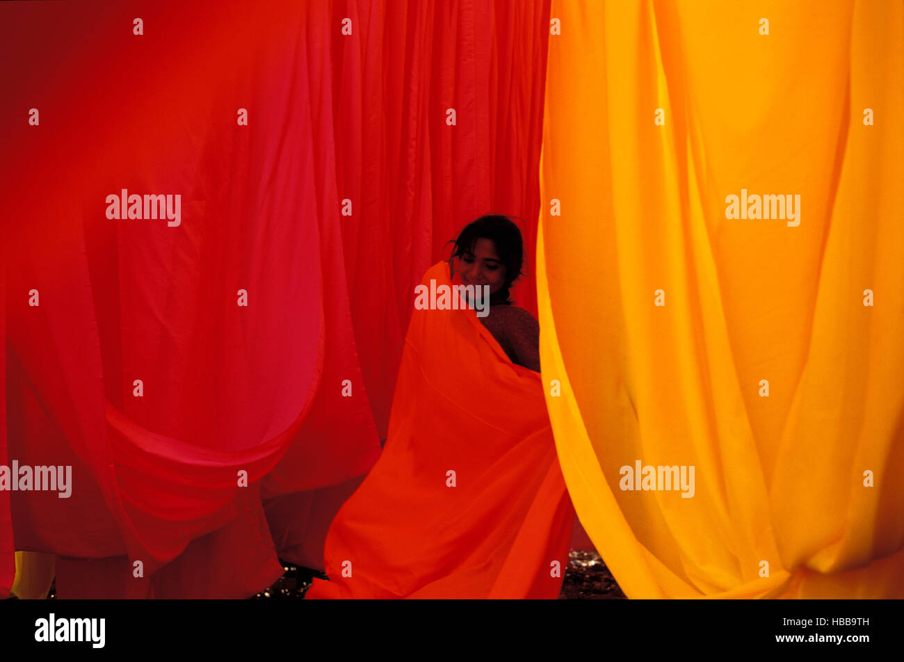 Inde rajasthan usine de sari hi-res stock photography and images - Alamy