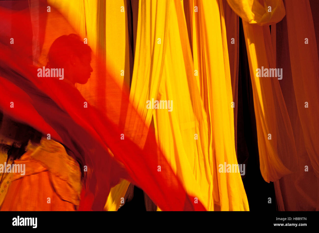 Inde. Rajasthan. Usine de sari. // India. Rajasthan. Sari factory Stock ...