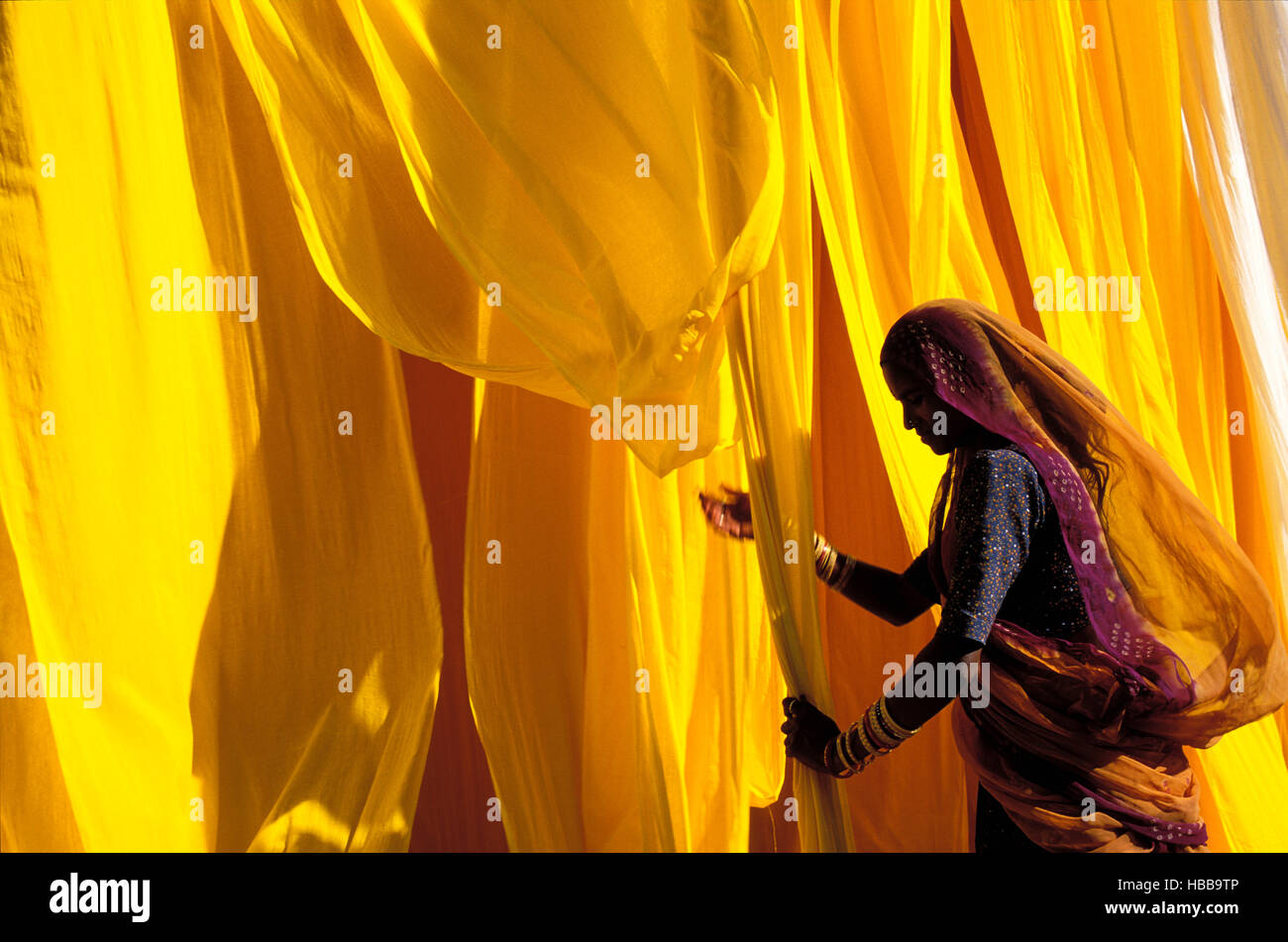 Inde. Rajasthan. Usine de sari. // India. Rajasthan. Sari factory Stock ...
