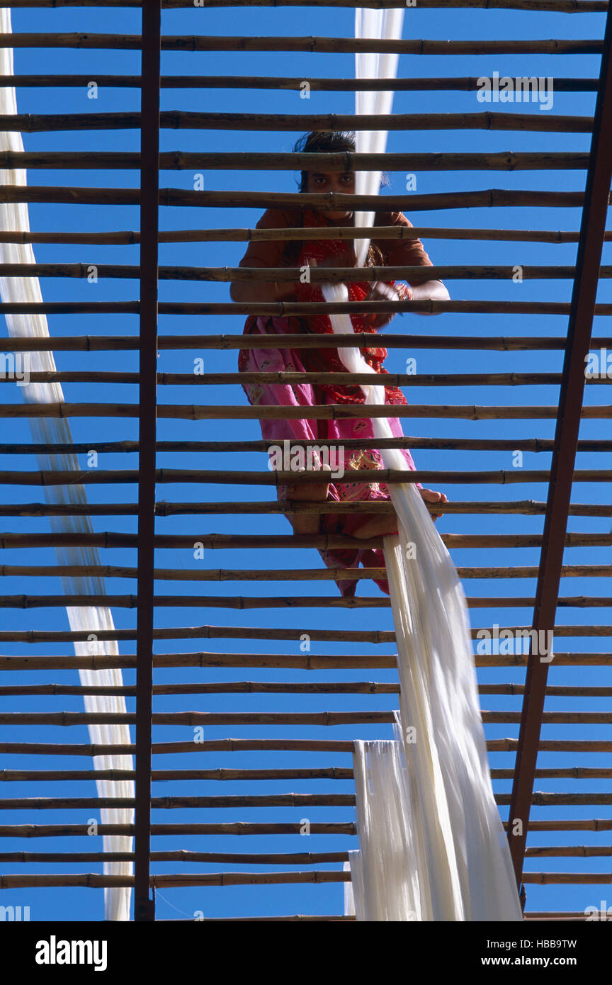 Inde. Rajasthan. Usine de sari. // India. Rajasthan. Sari factory Stock ...