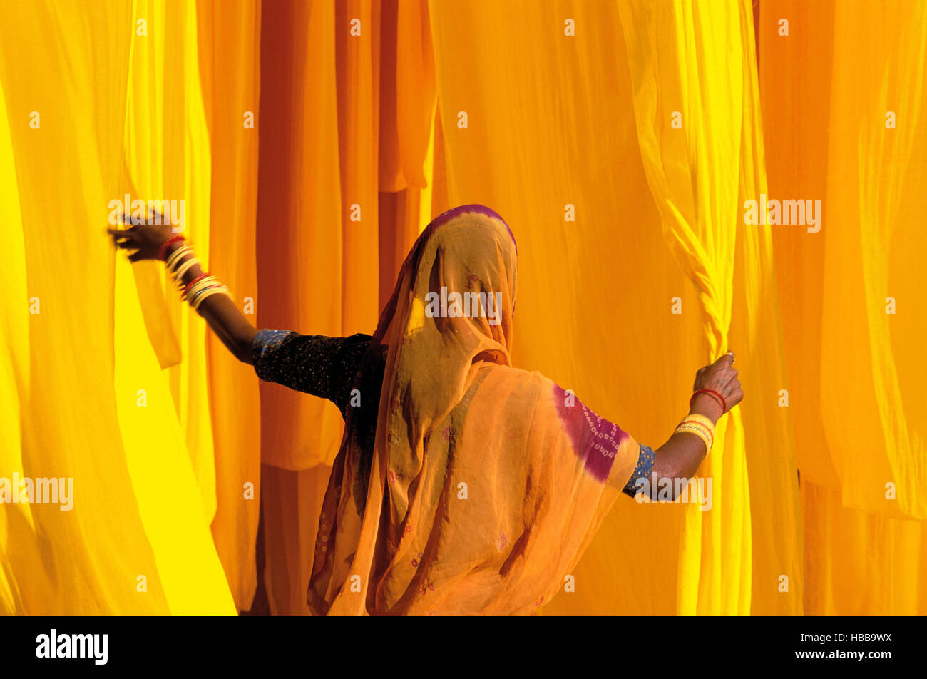 Inde, Rajasthan, Usine de sari ; India. Rajasthan. Sari factory Stock ...