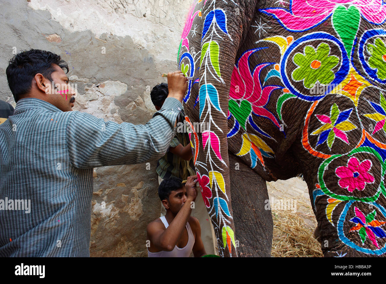 Inde, Rajasthan, Jaipur, peinture et decoration des elephants pour le ...