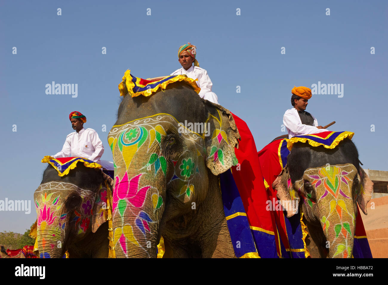 Inde, Rajasthan, Jaipur, le festival des elephants qui se deroule lors ...