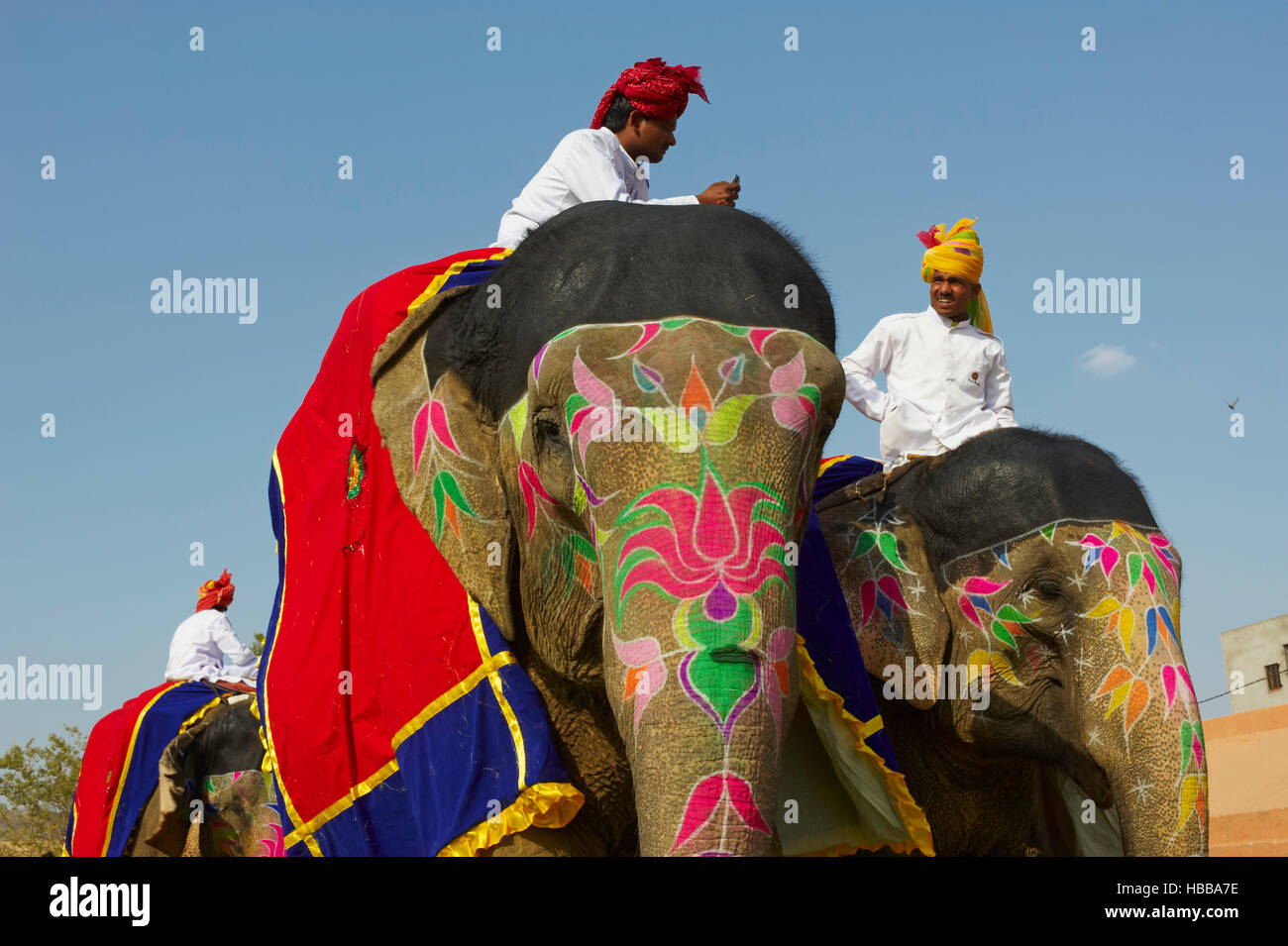 Holi festival elephant hi-res stock photography and images - Alamy