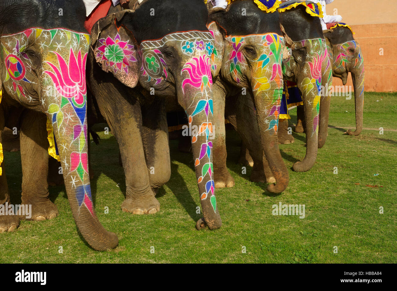 Inde, Rajasthan, Jaipur, le festival des elephants qui se deroule lors ...
