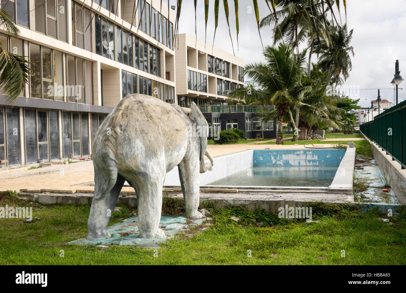 Elephant swimming hi-res stock photography and images - Alamy