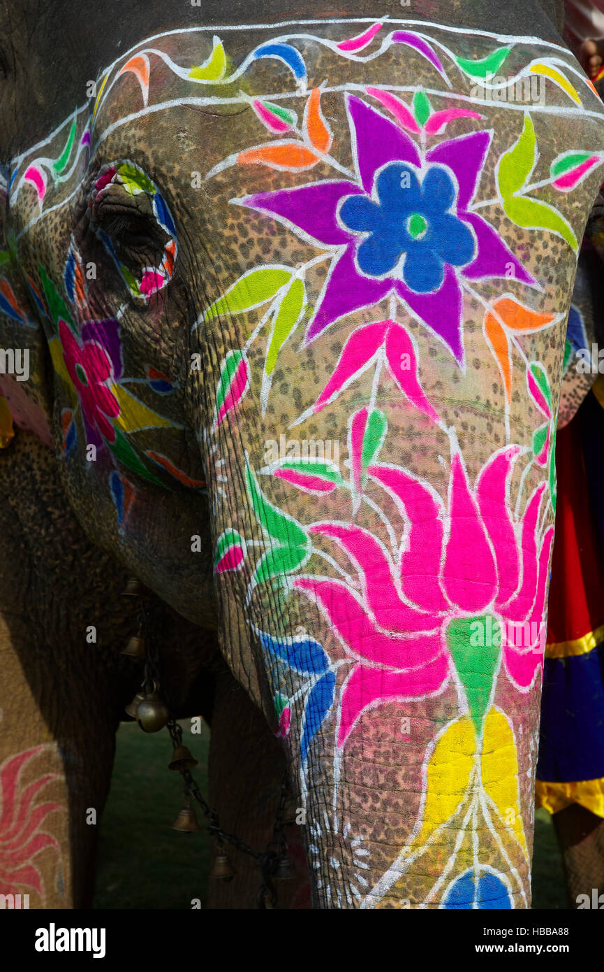 Inde, Rajasthan, Jaipur, le festival des elephants qui se deroule lors ...