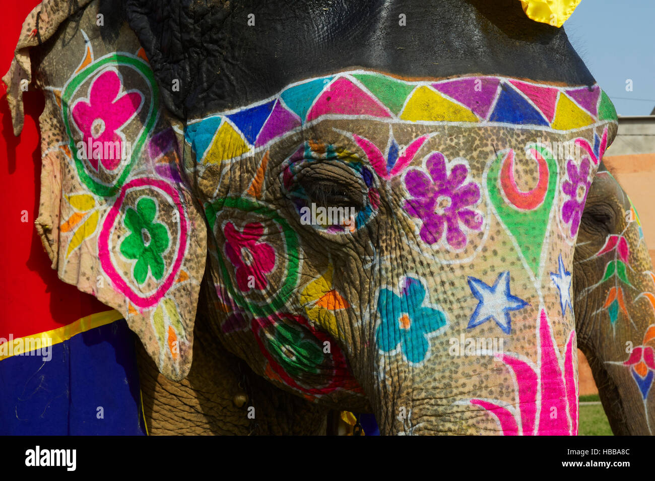Inde, Rajasthan, Jaipur, le festival des elephants qui se deroule lors ...