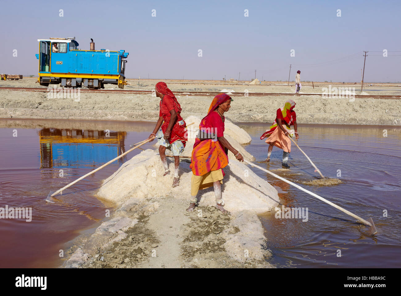 Sambhar lake rajasthan hi-res stock photography and images - Alamy