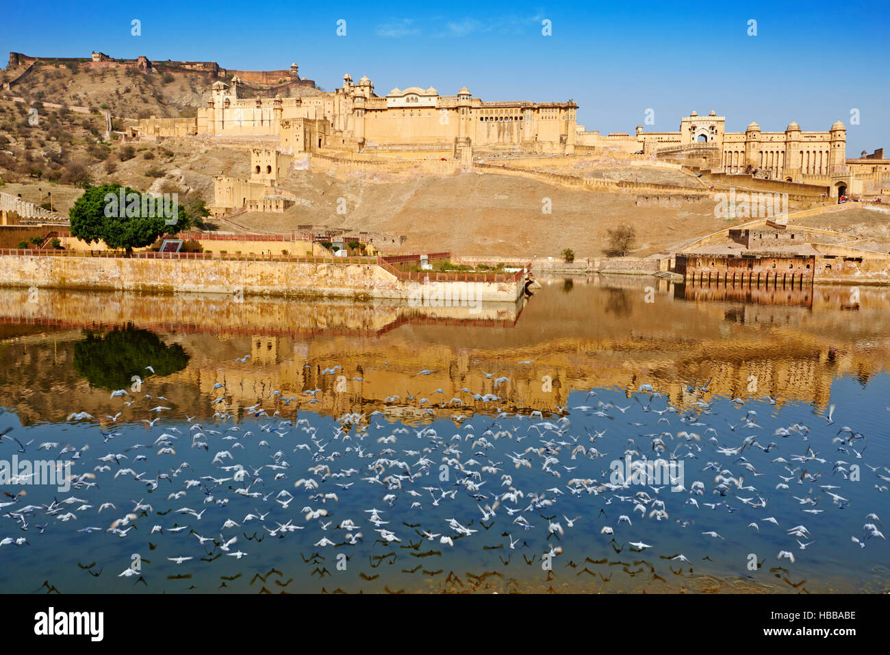 Inde, Rajasthan, Jaipur la ville rose, le fort d'Amber // India ...