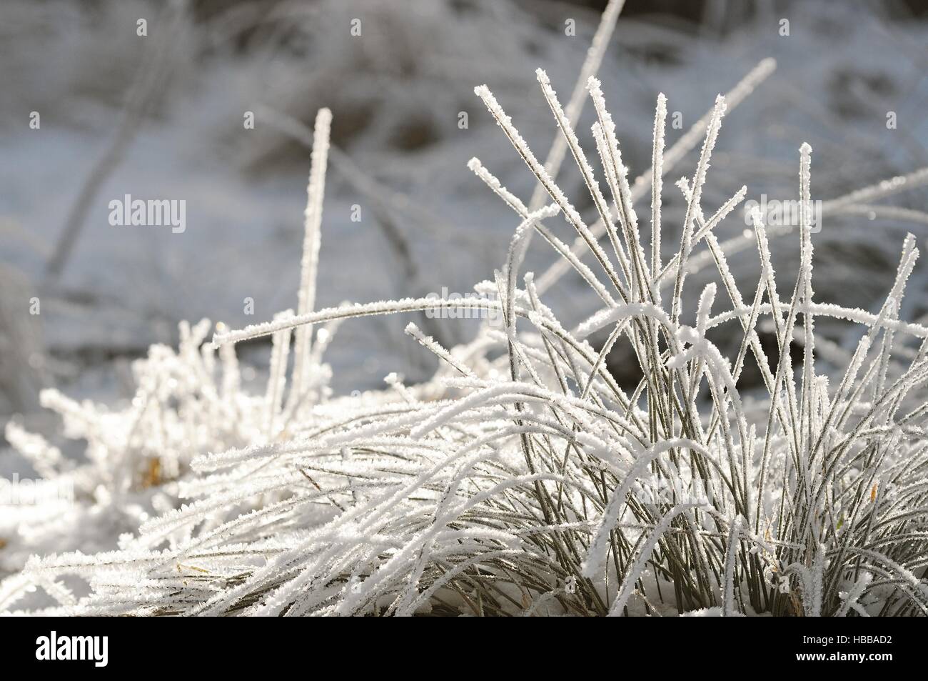 cold winter time Stock Photo - Alamy