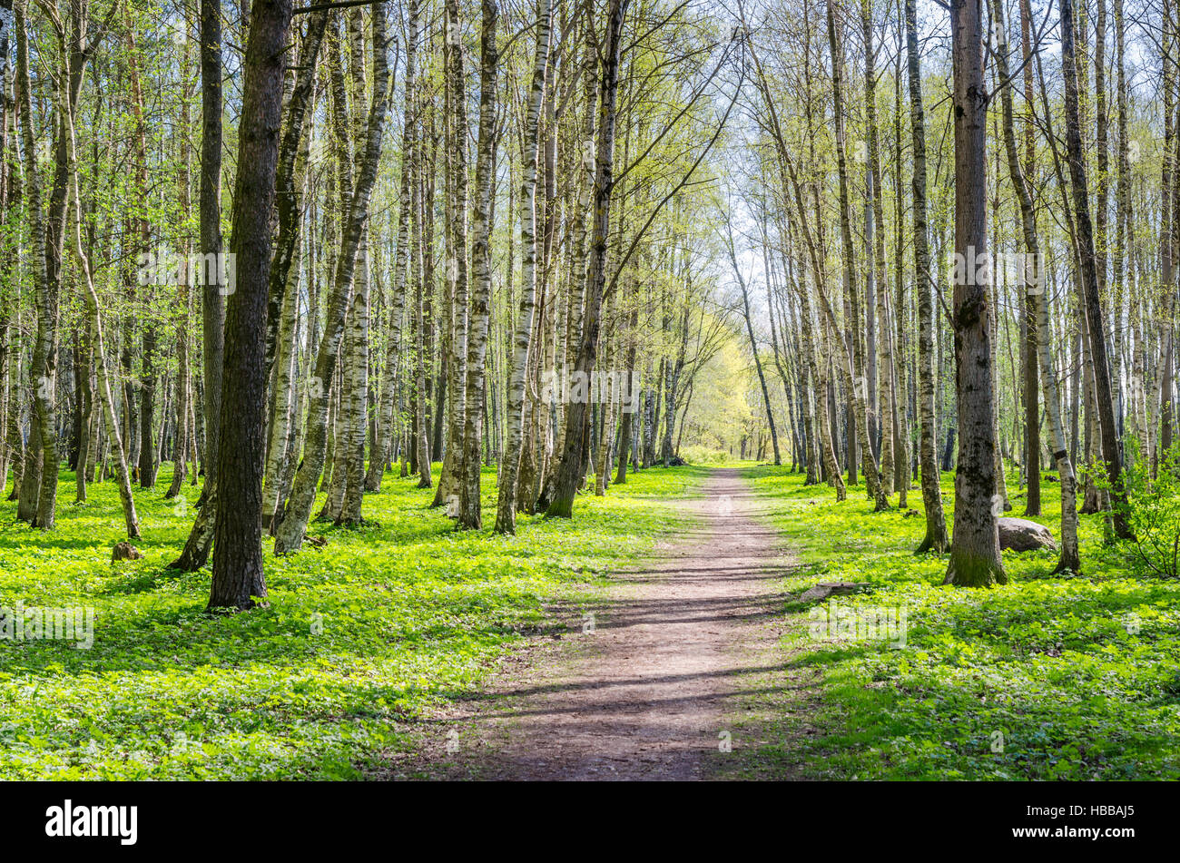 Solar beams hi-res stock photography and images - Alamy