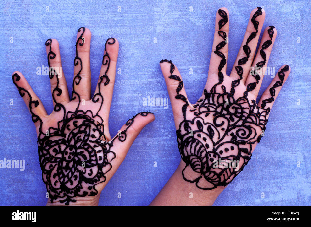 Inde - Rajasthan - hand with henna drawing Stock Photo - Alamy