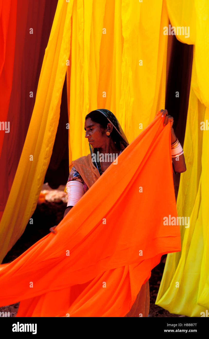Inde. Rajasthan. Usine de sari. // India, Rajasthan, Sari factory Stock ...