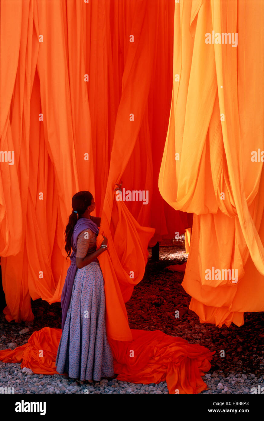 Inde rajasthan usine de sari hi-res stock photography and images - Alamy