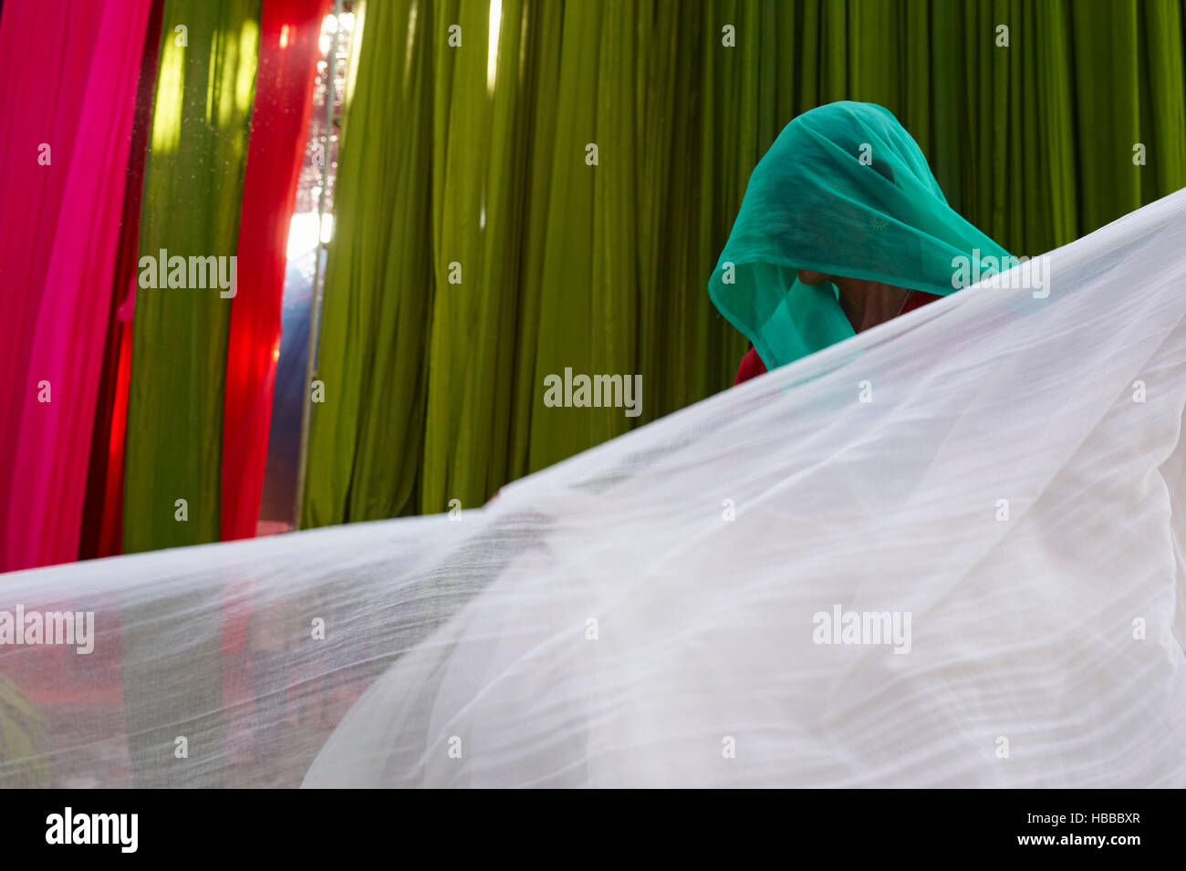 India, Rajasthan, Sari Factory, Textile are dried in the open air. Collecting of dry textile are ...