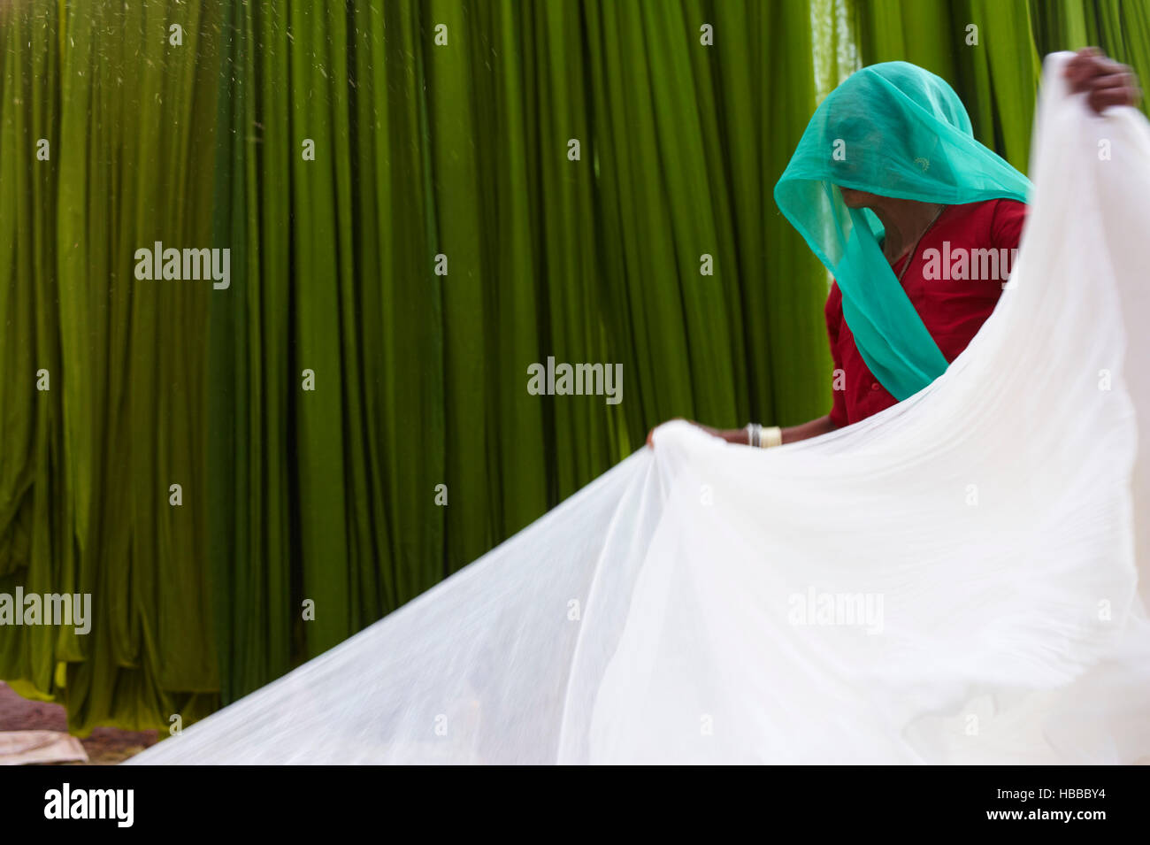 India, Rajasthan, Sari Factory, Textile are dried in the open air. Collecting of dry textile are ...