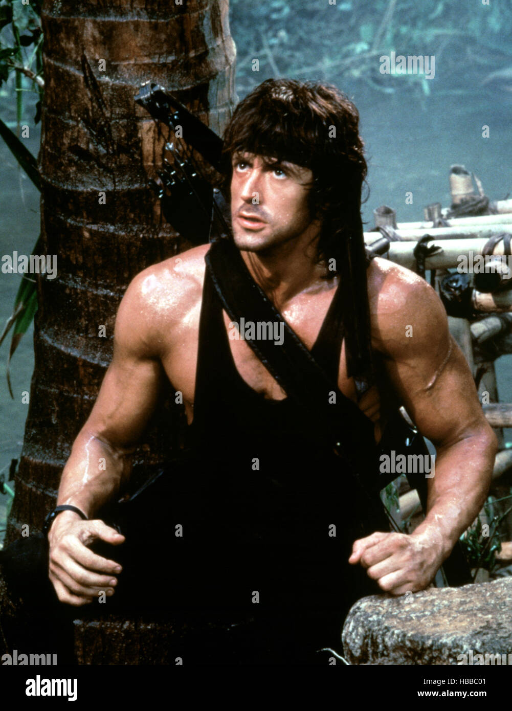 RAMBO: FIRST BLOOD PART II, Sylvester Stallone, 1985, © TriStar ...