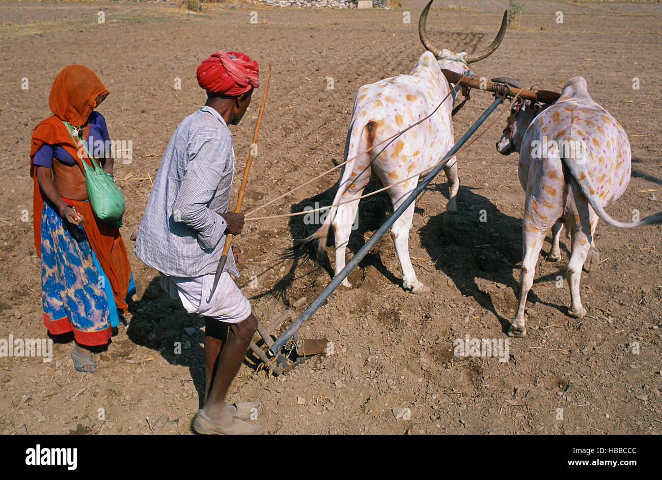 India. Rajasthan. Farmer around Bijolia Stock Photo - Alamy