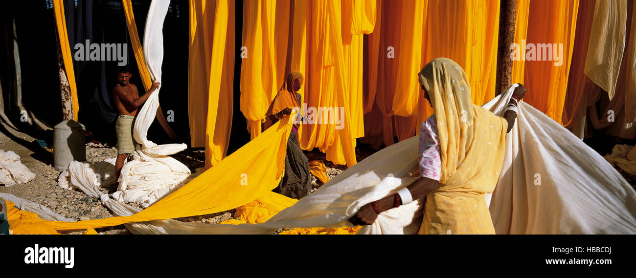 India, Rajasthan, Sari Factory, Textile are dried in the open air. Collecting of dry textile are ...